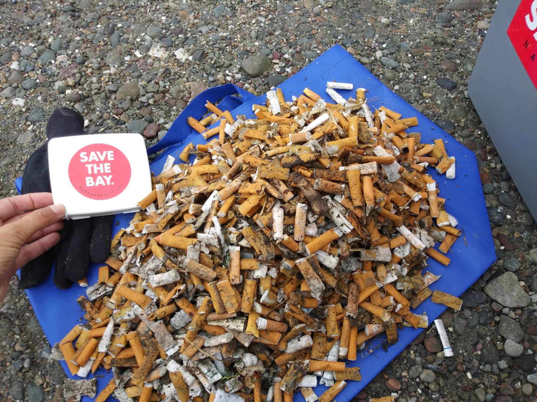 Homepage - Save The Bay Narragansett Bay - Join - Volunteer - Donate