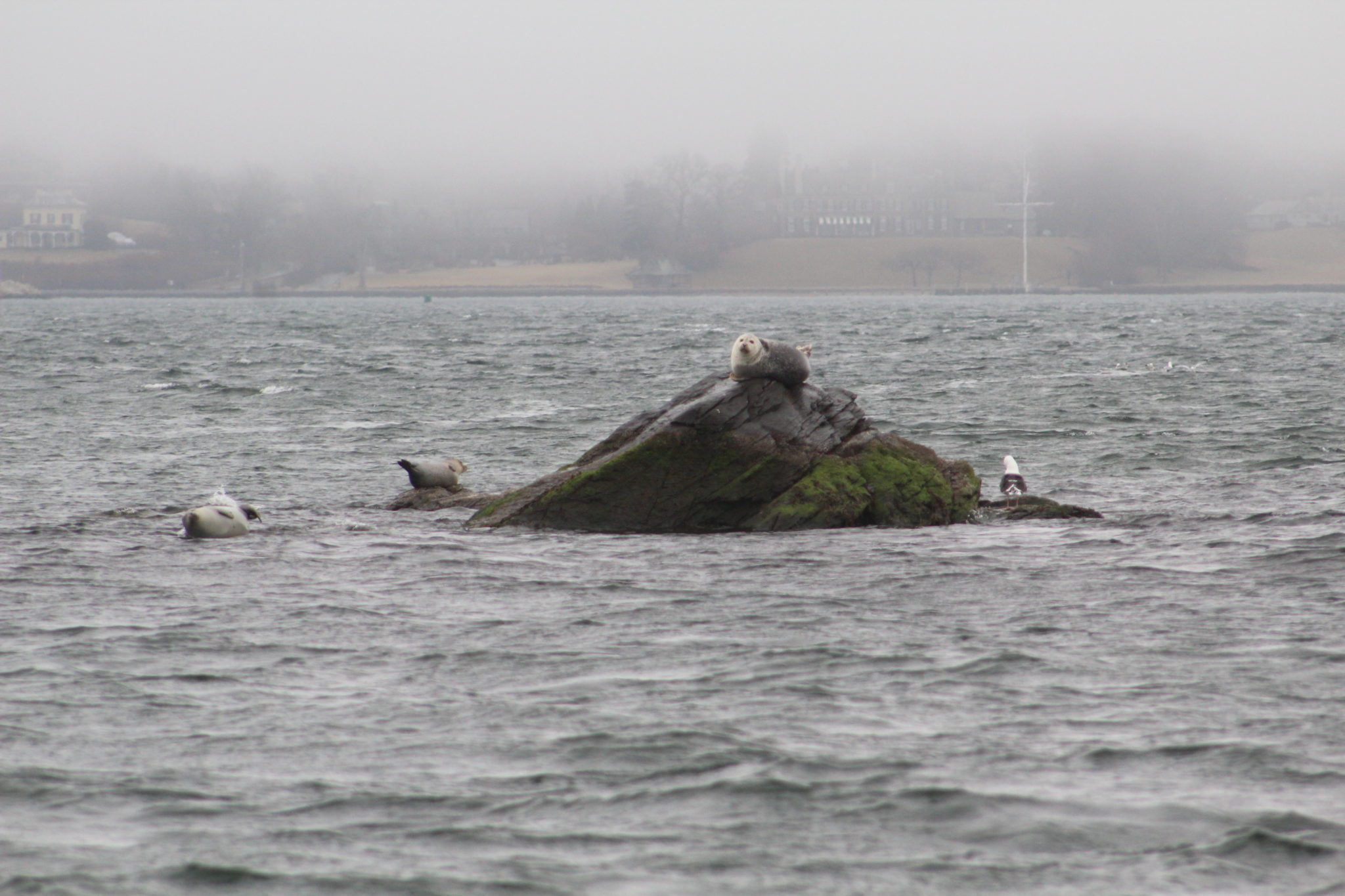 Homepage - Save The Bay Narragansett Bay - Join - Volunteer - Donate
