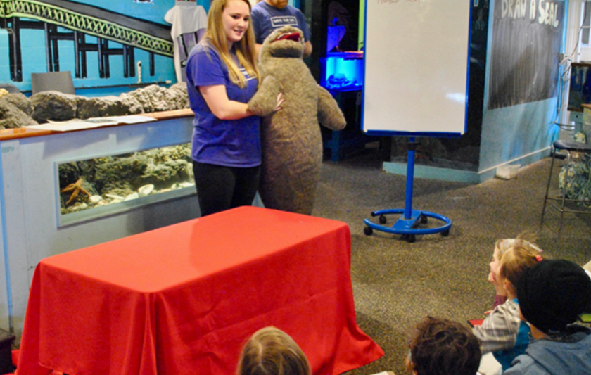 "Sensational Seals" haul onto the scene at Save The Bay’s Exploration ...